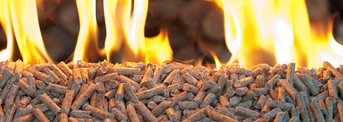 Solutions for the solid biofuel pelleting industry