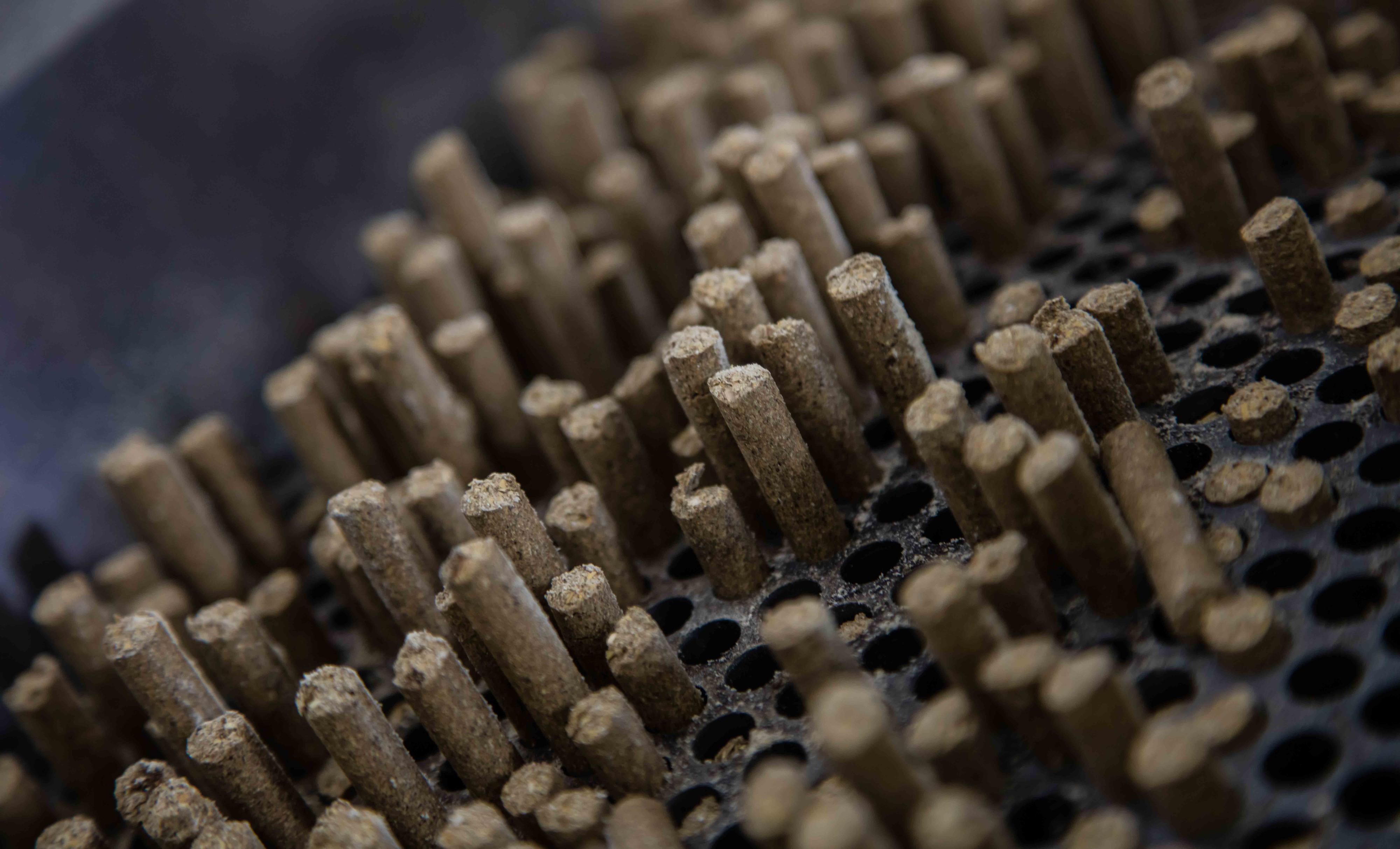 Animal Feed Processing