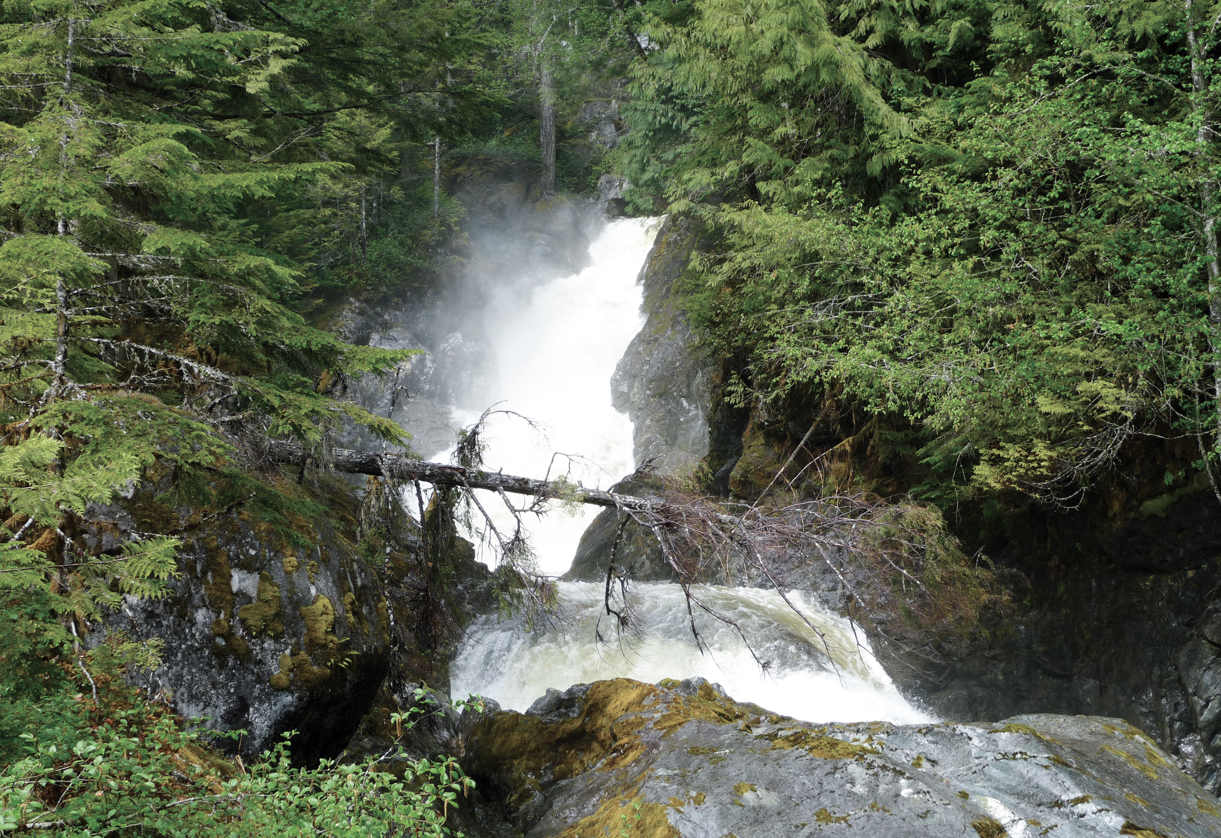 Montrose hydroelectric power plant using Metris DiOMera