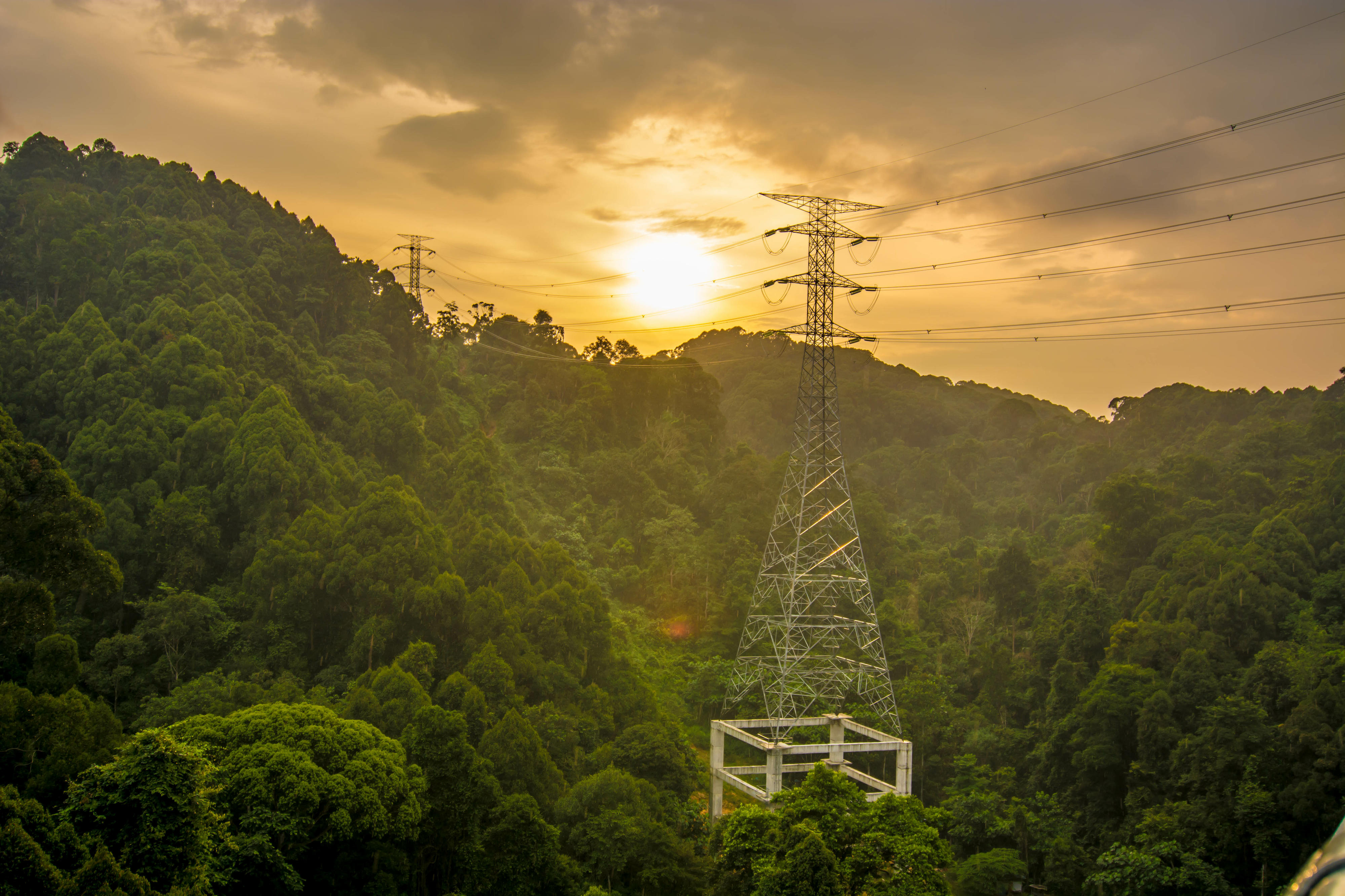 Brazil, Tucumã and Feijó