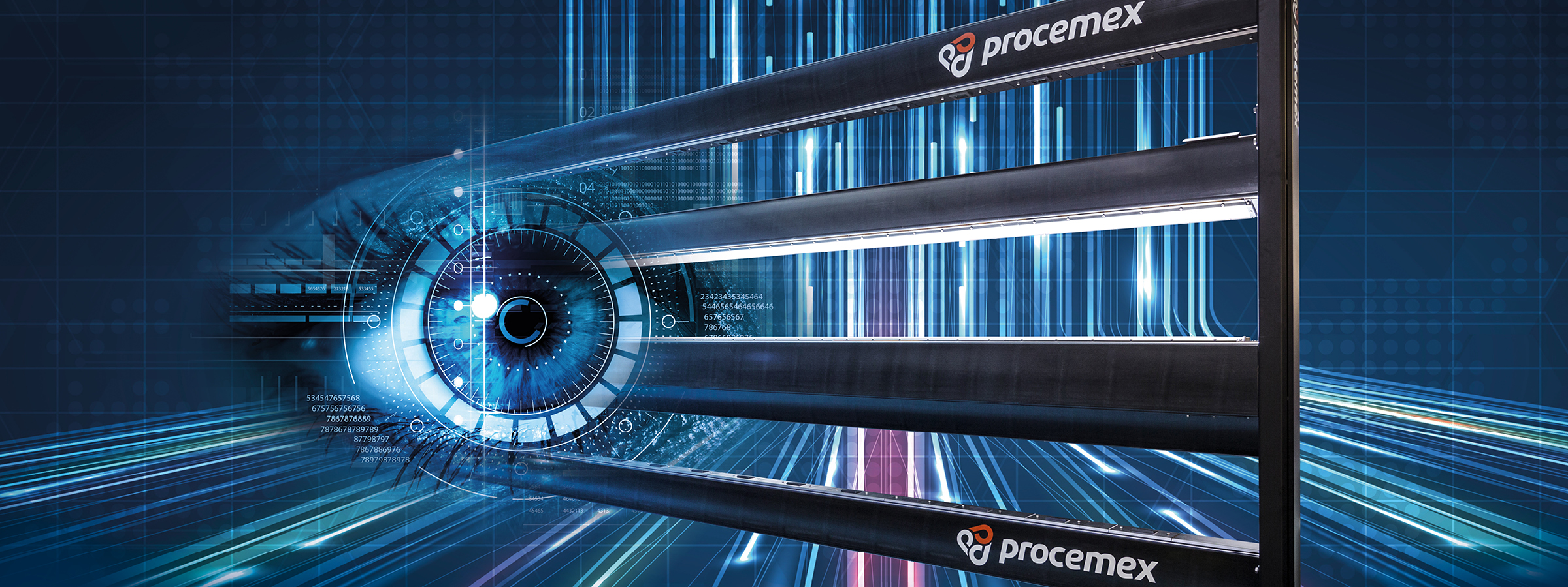 Procemex Vision Systems
