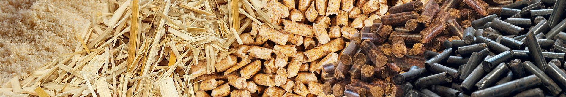 Renewable energy with solid biofuels solutions | ANDRITZ