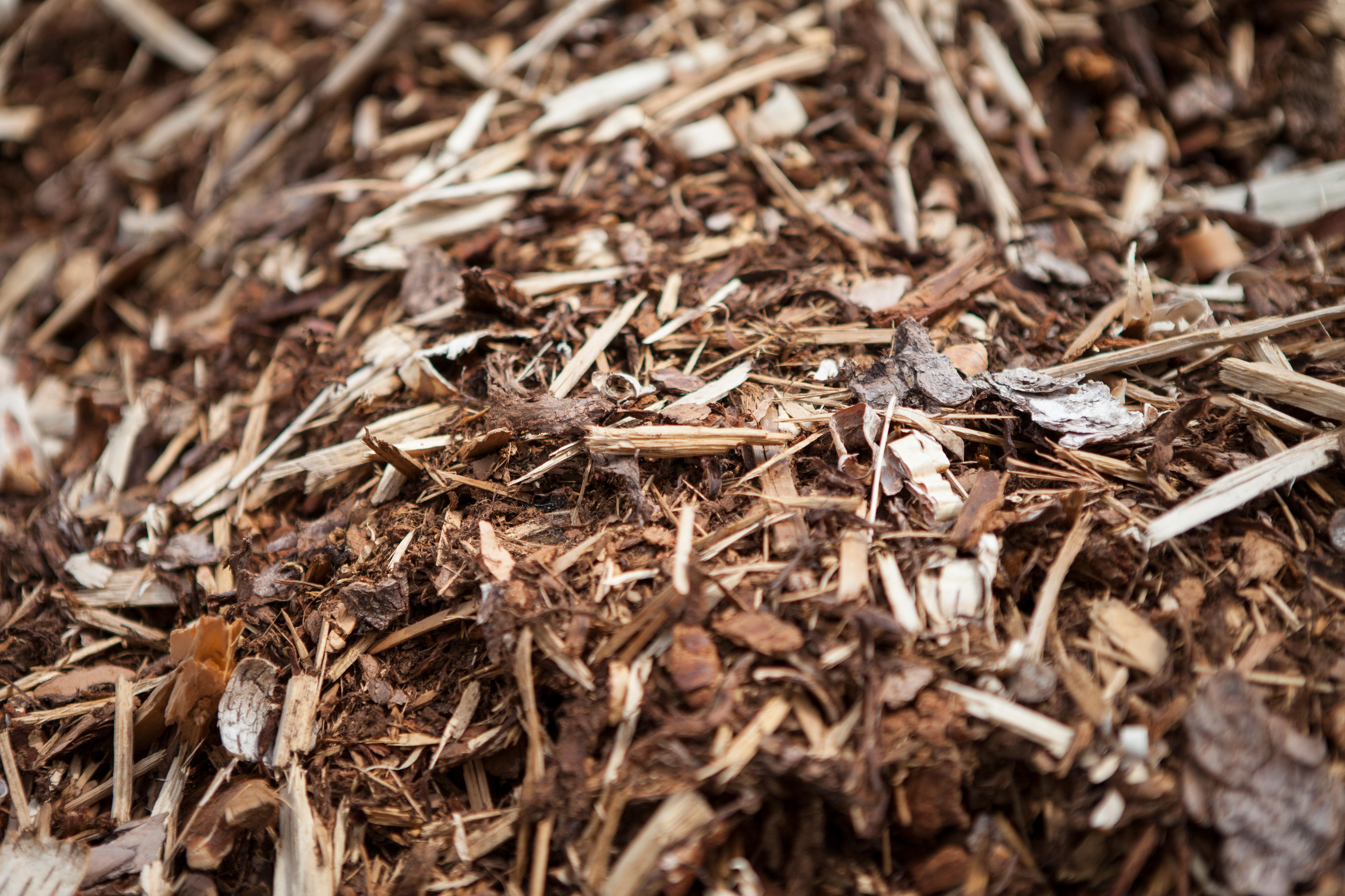 ANDRITZ Bark Processing Systems - Maximizing bark as a fuel source