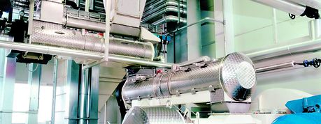 Animal Feed Processing