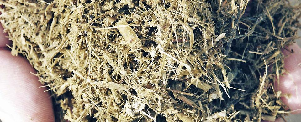 Recycling of organic waste