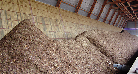 Biomass storage and reclaiming