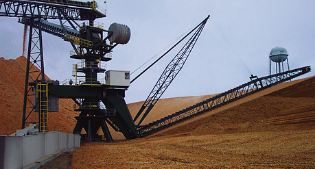 Biomass storage and reclaiming