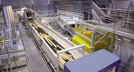 Debarker discharge and chipper infeed systems