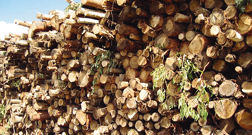 Dissolving pulp production