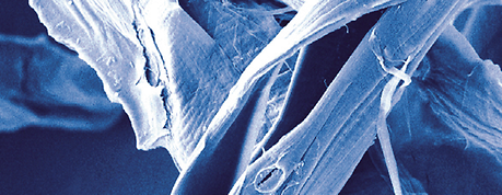 BCTMP - Sophisticated ANDRITZ technologies: P-RC APMP and ATMP