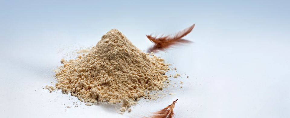 Raw animal materials
