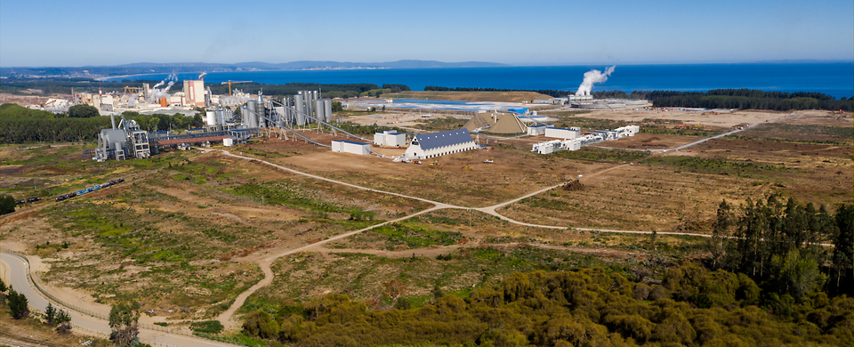 The start of Arauco’s mapa project: eucalyptus pulp