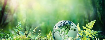 ANDRITZ SEPARATION Indústria e Comércio de Equipamentos de Filtração ...