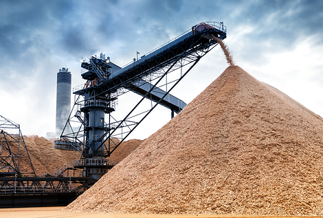 ANDRITZ PULP & PAPER