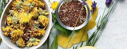 Turbex | food by-products extraction | ANDRITZ