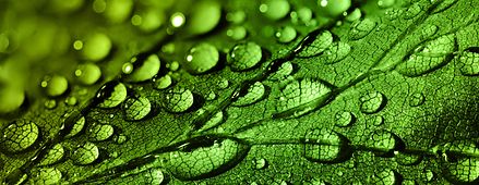 ANDRITZ SEPARATION Indústria e Comércio de Equipamentos de Filtração ...