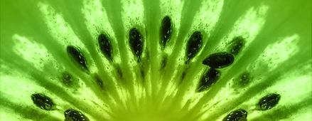 ANDRITZ SEPARATION Indústria e Comércio de Equipamentos de Filtração ...