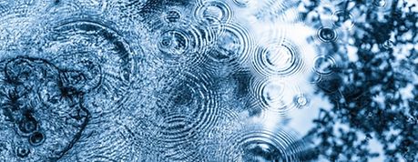 Preserve the environment with sustainable solutions for the paper industry