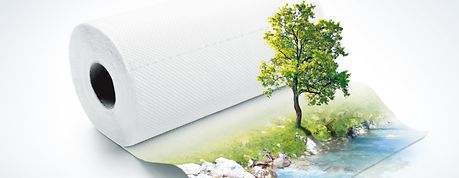 Preserve the environment with sustainable solutions for the paper industry