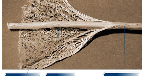 Bast fiber technology for industrial processes