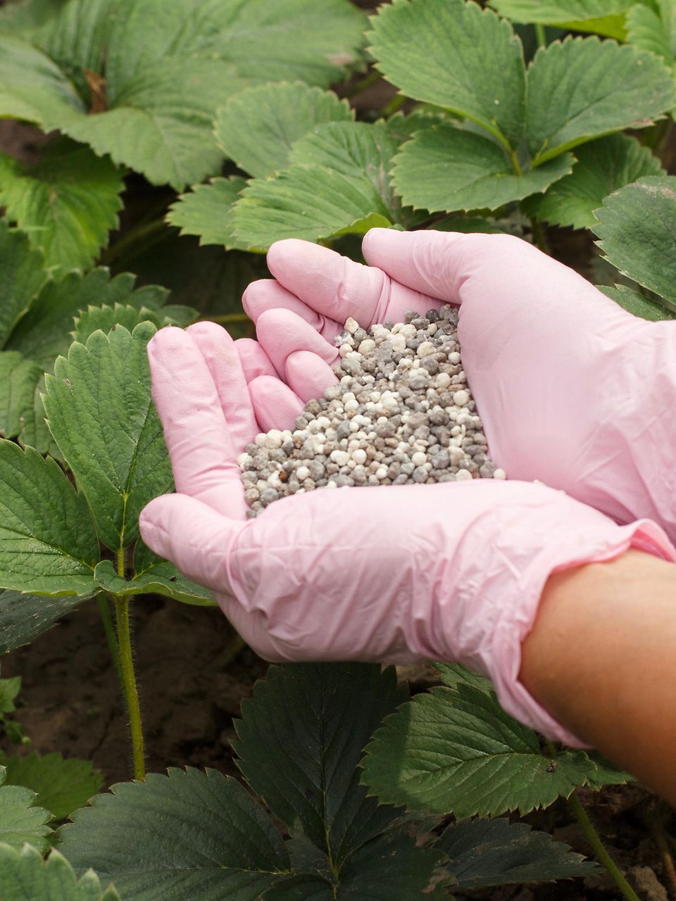 Fertilizer and agrochemical solutions