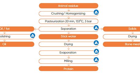Alternative proteins