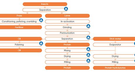 Alternative proteins