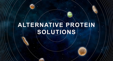 ANDRITZ Alternative Proteins | Sustainable Processing