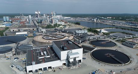 Pulp and paper sludge