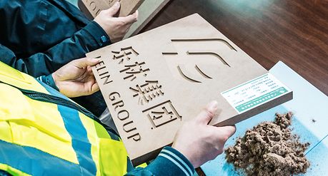 Lelin Group: A model of the circular economy in forestry