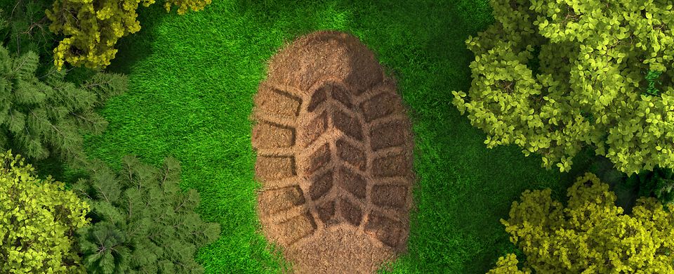 Pulp and paper sludge