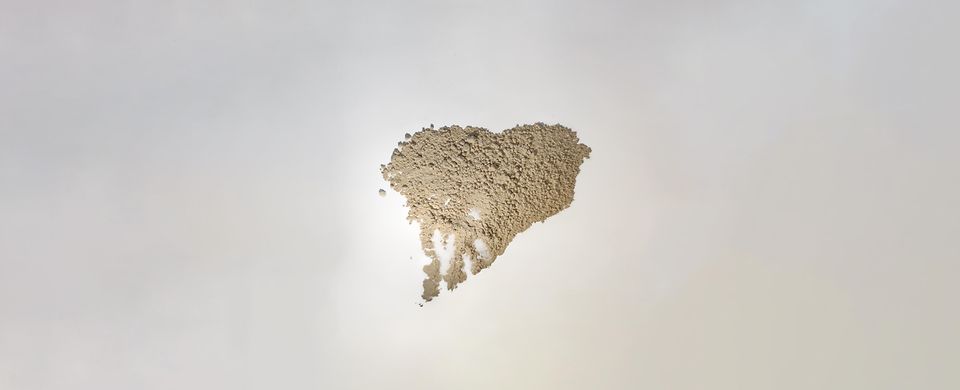 Biomass powder burning - Discover now!