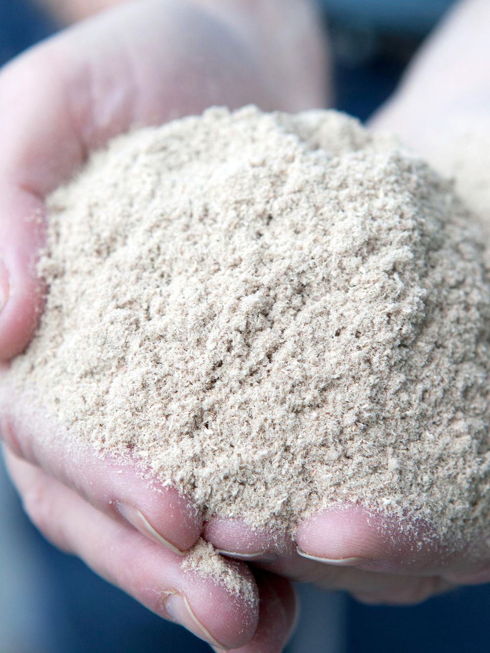 Thermal power by ANDRITZ