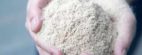 Biomass powder burning - Discover now!