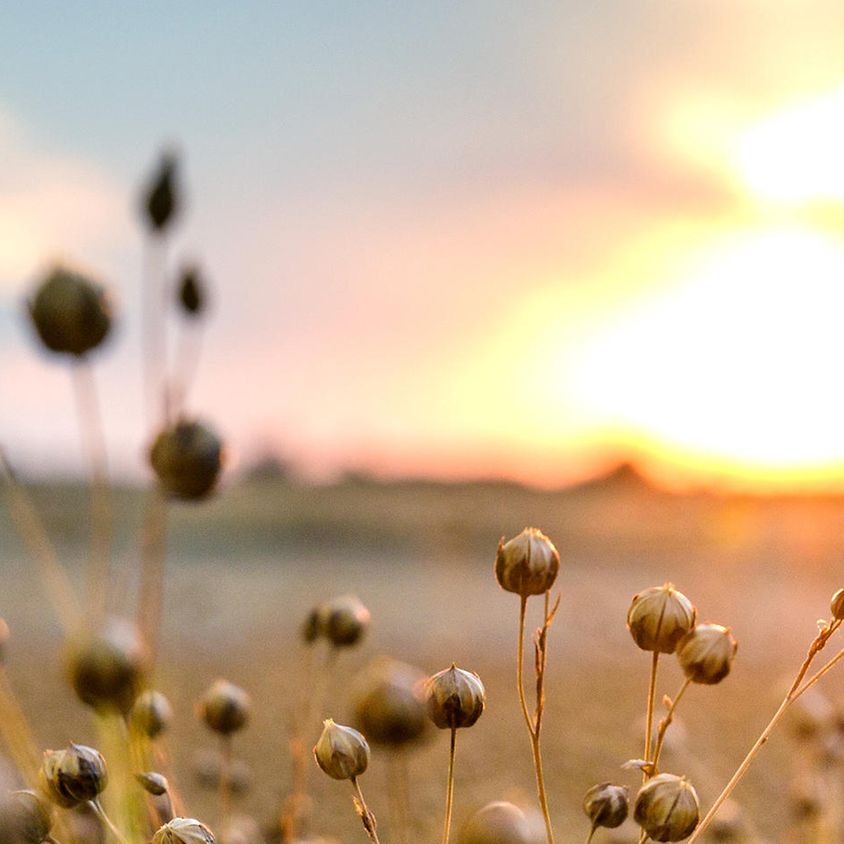 Engineered Textiles: Needlepunch, Airlay and more