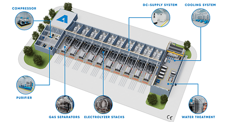 The Hydrogen Backbone needs green hydrogen