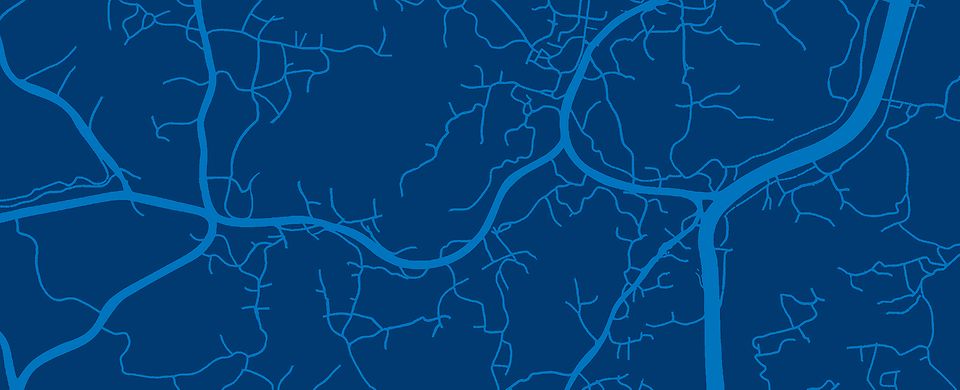 The Hydrogen Backbone needs green hydrogen