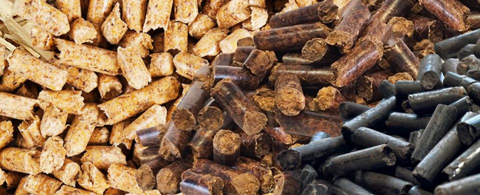 Renewable energy with solid biofuels solutions | ANDRITZ