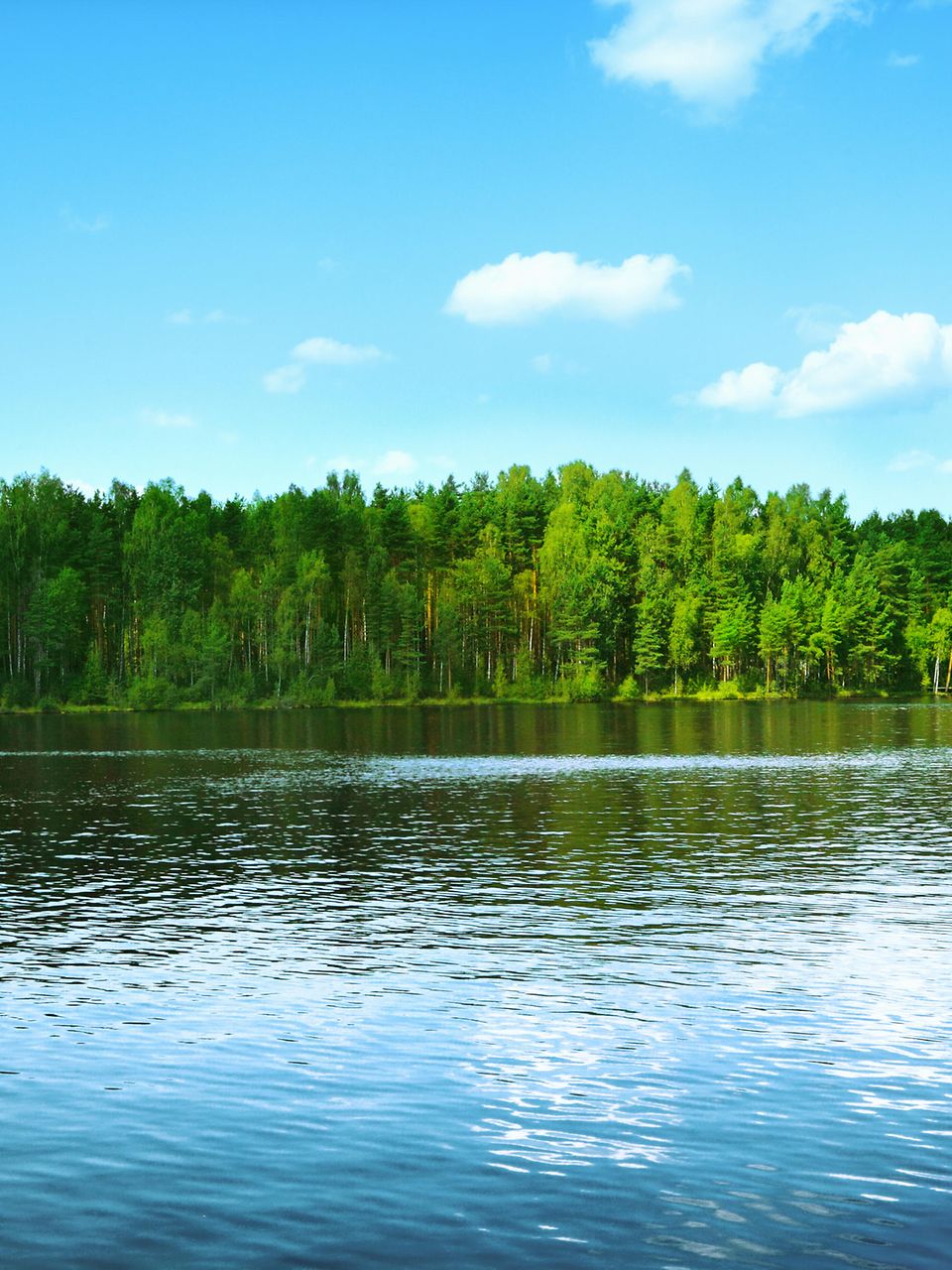 ANDRITZ Environment & Energy – Get to know our sustainable process ...