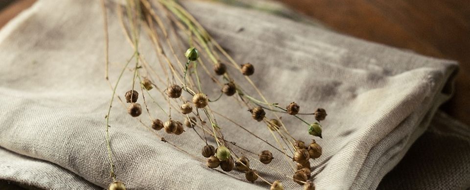 Van Robaeys - a long-standing partnership with ANDRITZ