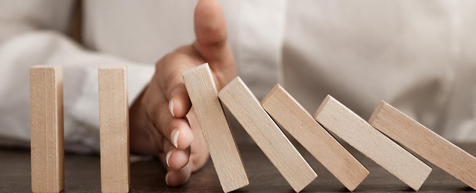 Sustainability Risk Management