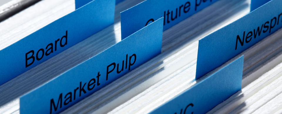 BCTMP - Sophisticated ANDRITZ technologies: P-RC APMP and ATMP