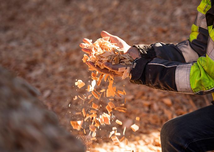 Optimizing wood chip quality - BIG SAVINGS AND A LEAP IN PULP PRODUCTION!