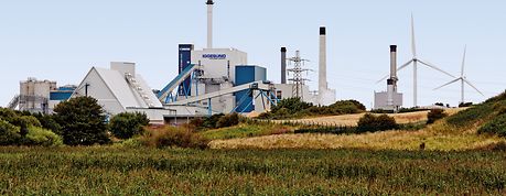 Bottom and fly ash handling systems