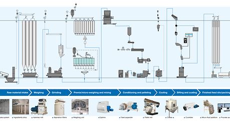 Animal Feed Processing