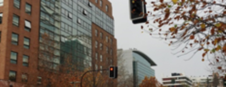 Location ANDRITZ Chile