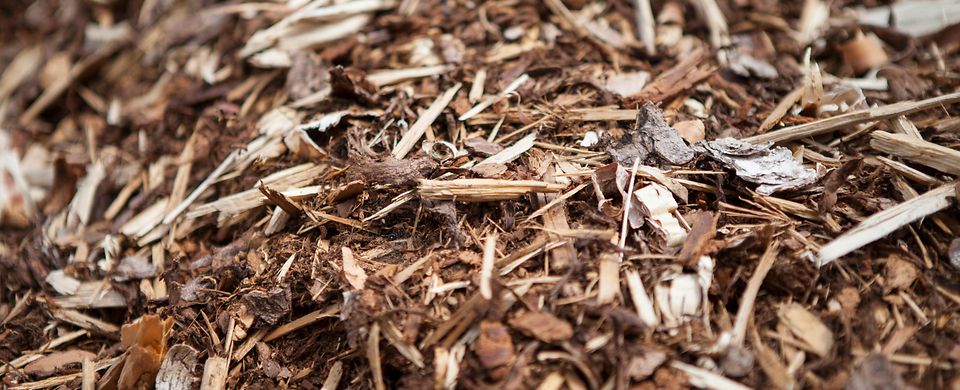 ANDRITZ Bark Processing Systems - Maximizing bark as a fuel source