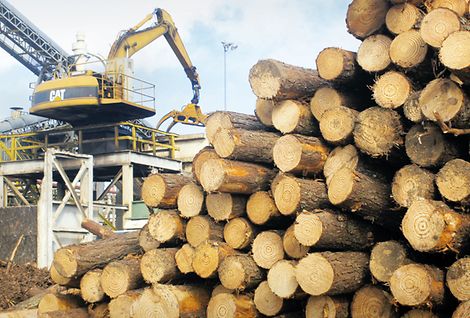 ANDRITZ panelboard technologies