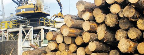 Kraft pulp - technologies for every major pulping, recovery, and power ...