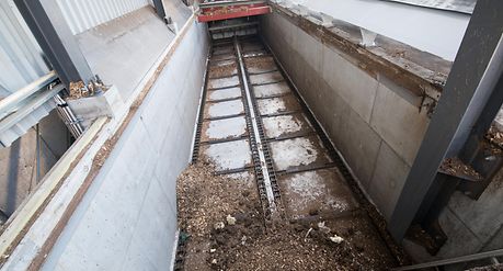 Biomass receiving and conveying